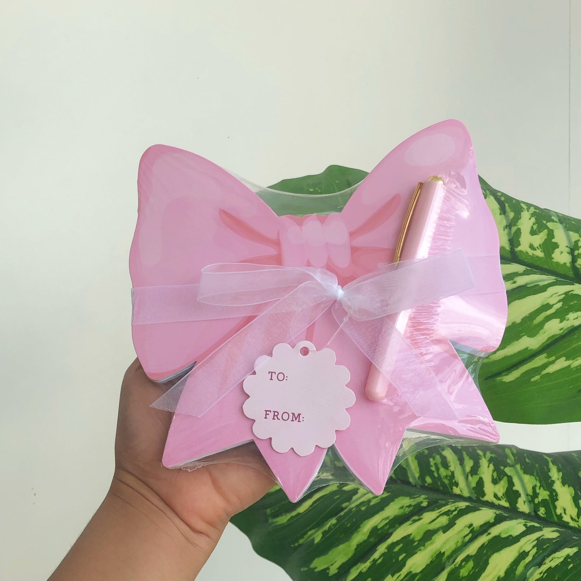 Notas C/Pluma Chongo – Color Platino